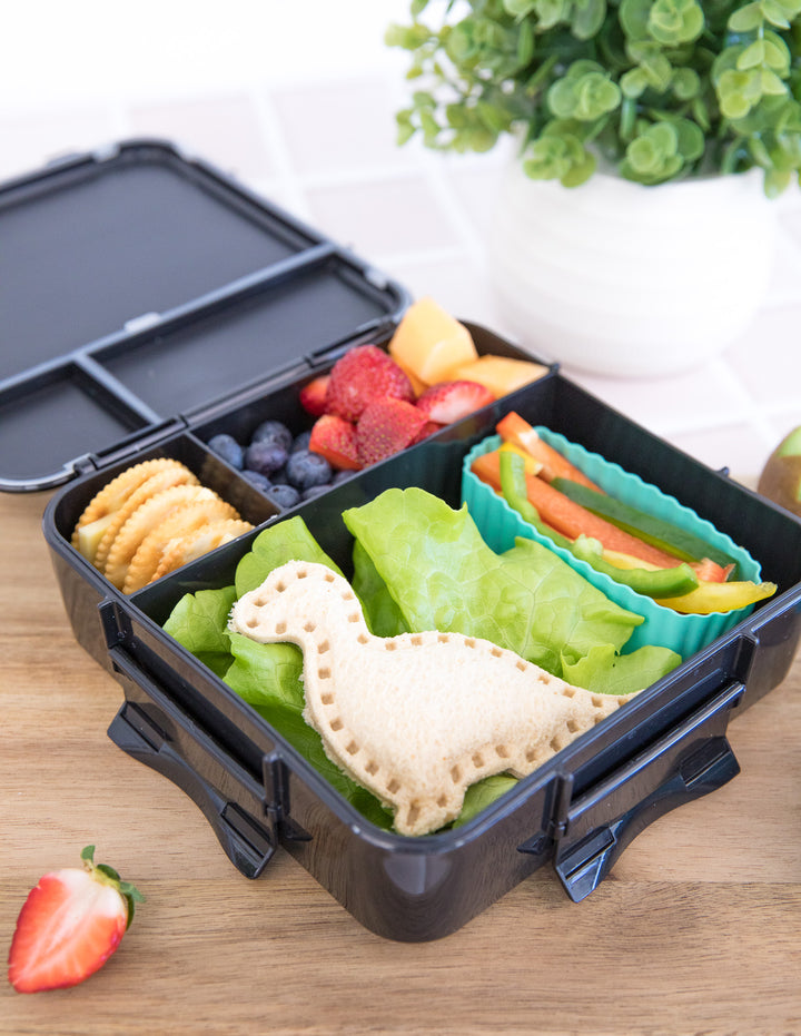 Bento Box Accessories + Fun Lunch Sets · Shop Online – MontiiCo