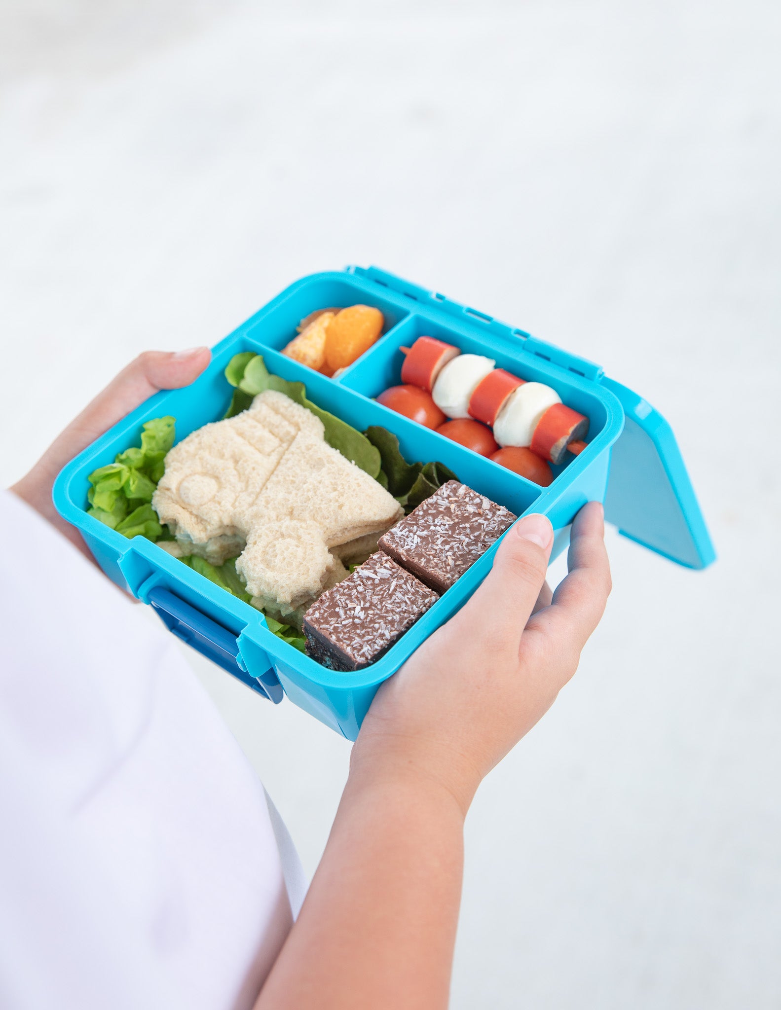 Australia's Favourite Lunch & Drink Ware – MontiiCo