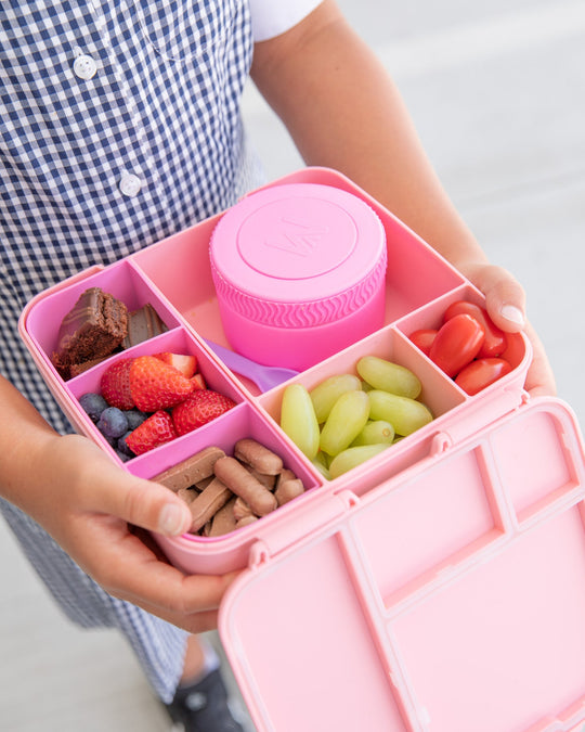 Feast Lunch Boxes – MontiiCo