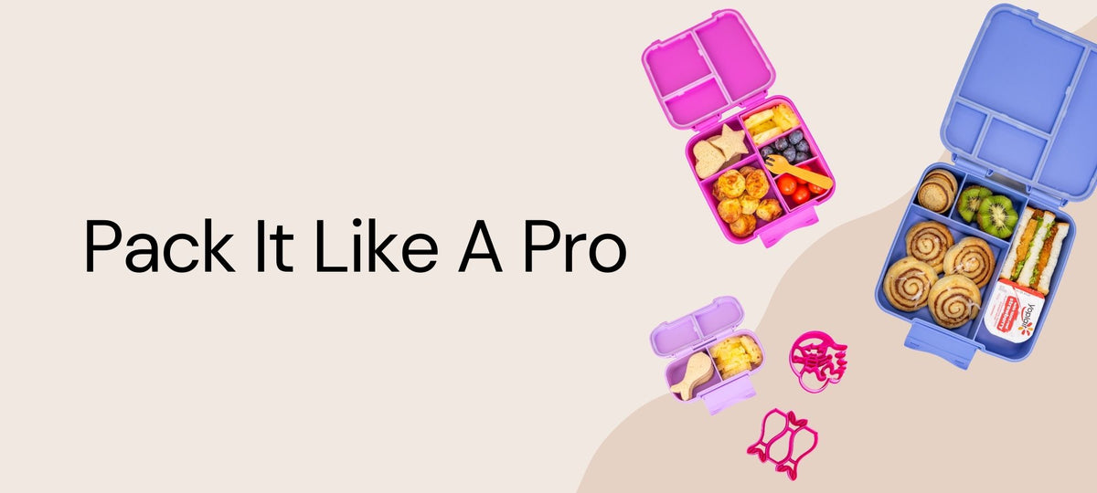 Pack Like a Pro: Feast Lunch Box – MontiiCo