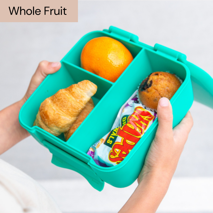 The MontiiCo Lunch Box Size Guide