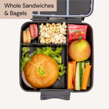 The MontiiCo Lunch Box Size Guide